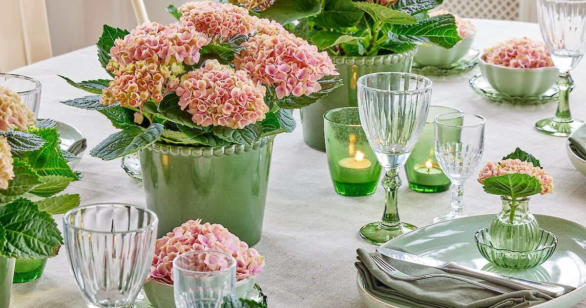 Magical Hydrangea: Style your table with hydrangeas | Magical Hydrangea